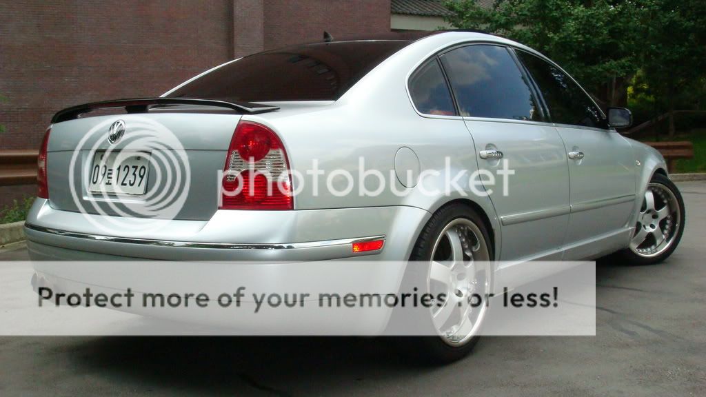 Slammed B5.5 | Volkswagen Passat Forum