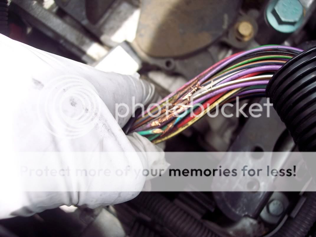 The END to my mysterious OIL light.. | VW Vortex - Volkswagen Forum