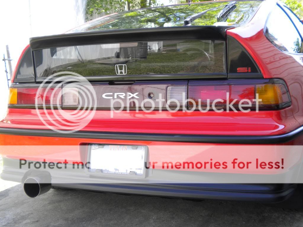 Formally Introducing My Ladies To CRXCommunity.com | Honda CRX Forum