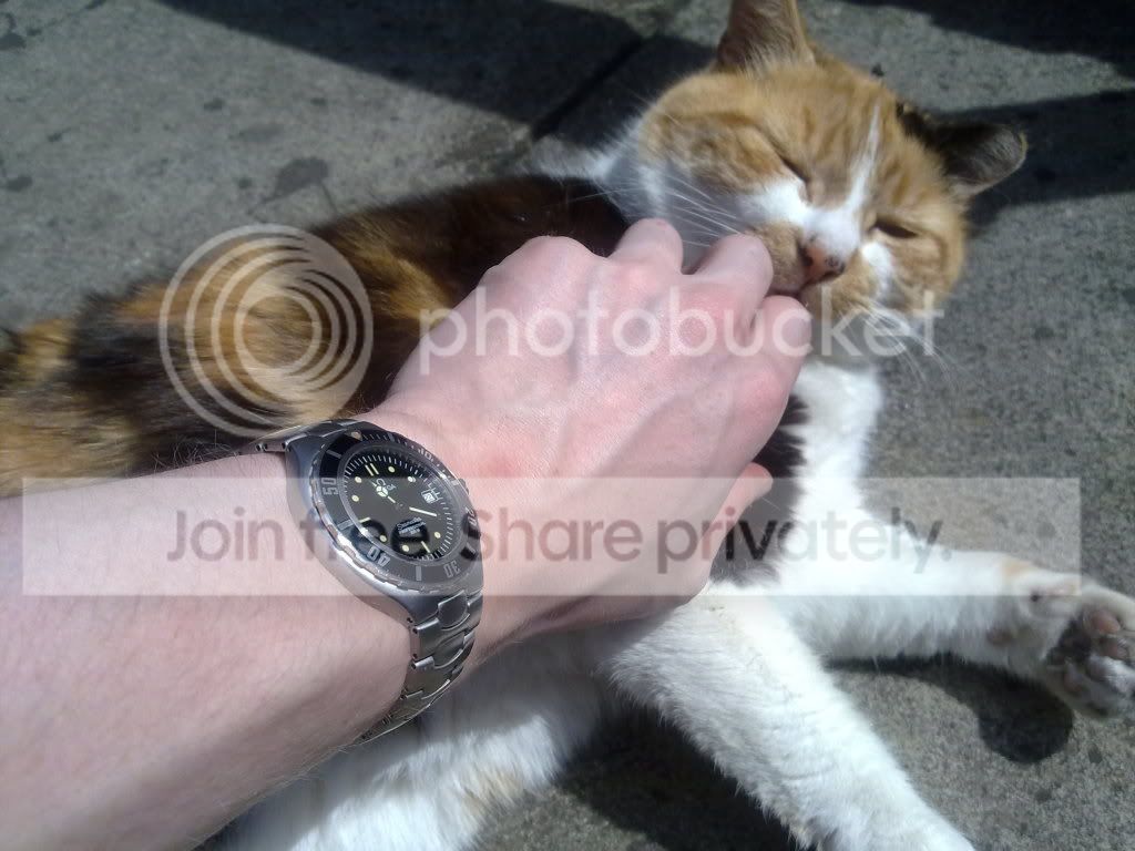 Sun, Seamaster & The Cat >>> | WatchUSeek Watch Forums