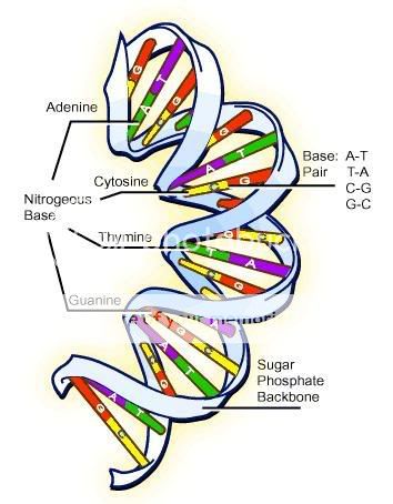 How did life originate? | Welcome to Theologetics