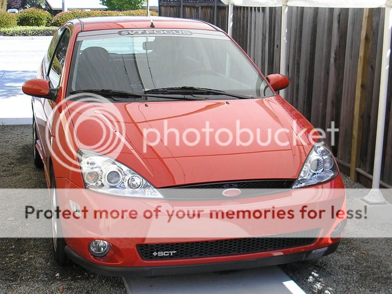 Many Pics of My Modified SVT with new products | Focus Fanatics Forum