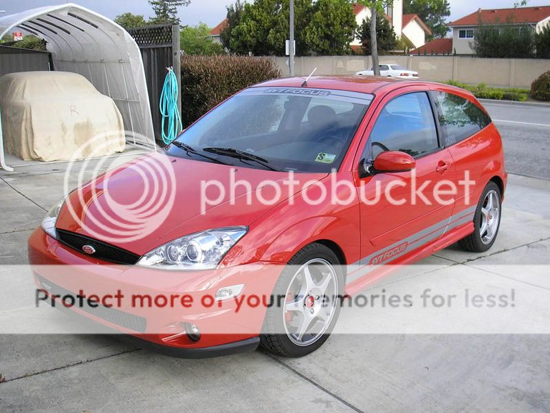 Many Pics of My Modified SVT with new products | Focus Fanatics Forum