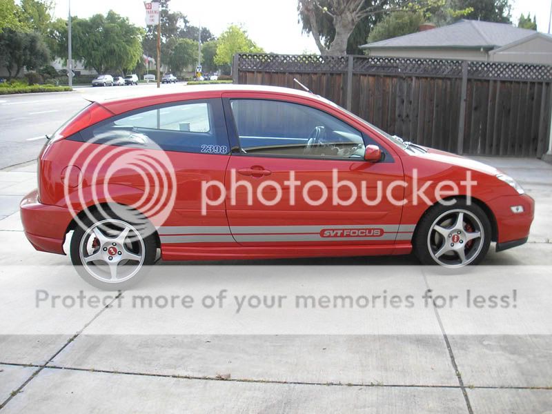 Many Pics of My Modified SVT with new products | Focus Fanatics Forum