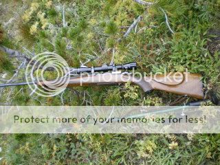 Husqvarna Sporting Rifles #### - ALL MODELS!!! | Canadian Gun Nutz