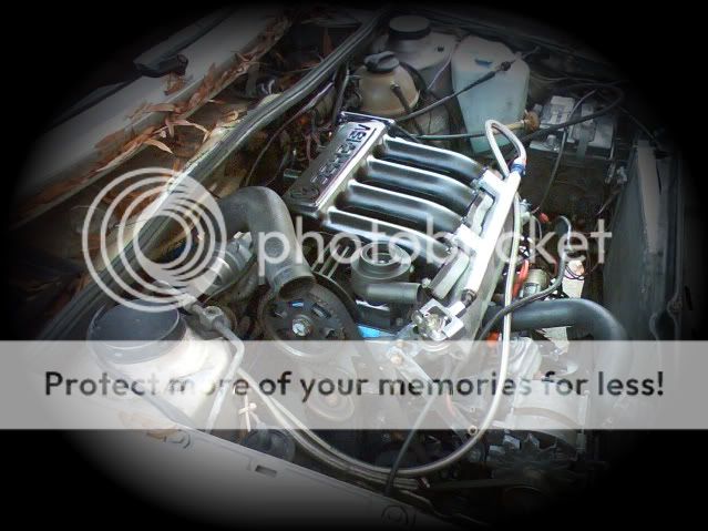 arp head studs... | VW Vortex - Volkswagen Forum