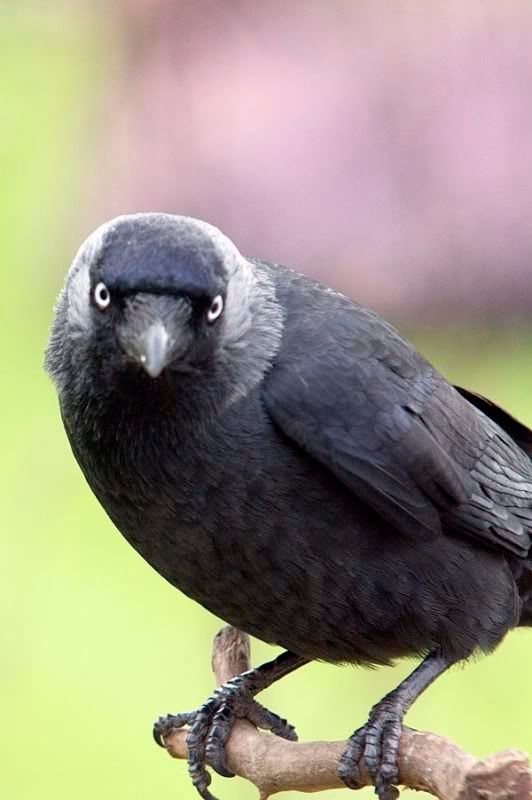 Undertaker (Mortician) or lawyer? | The Photography Forum