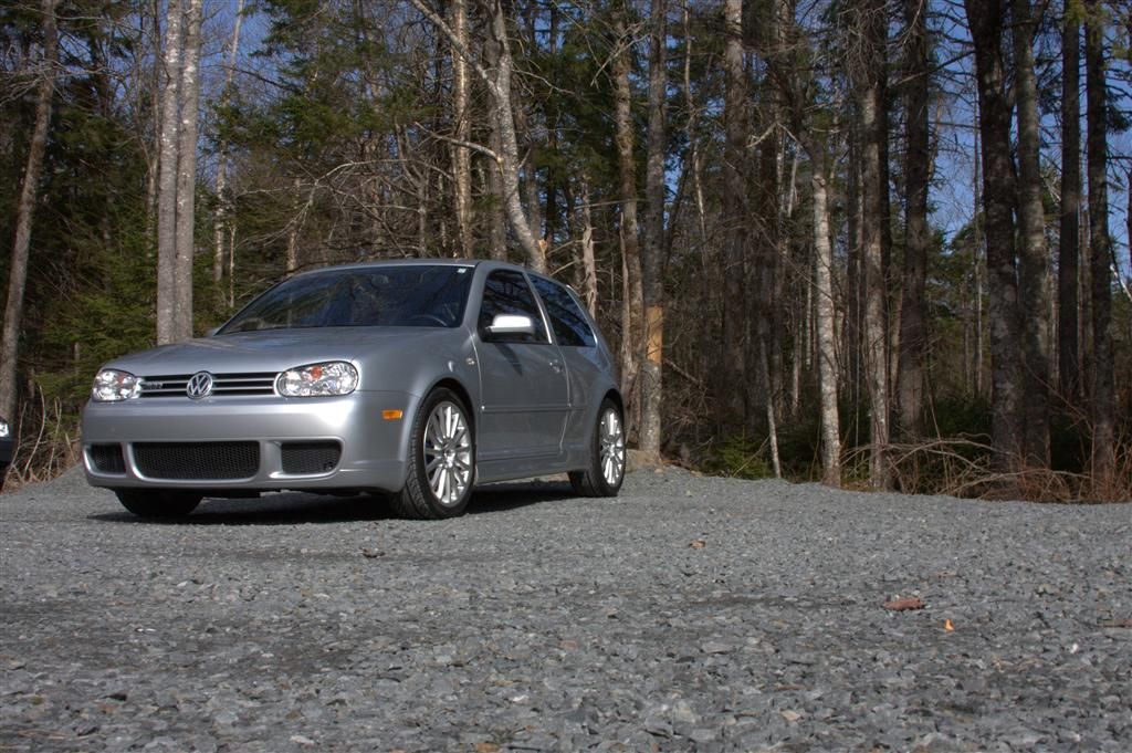Late introduction | VW Vortex - Volkswagen Forum