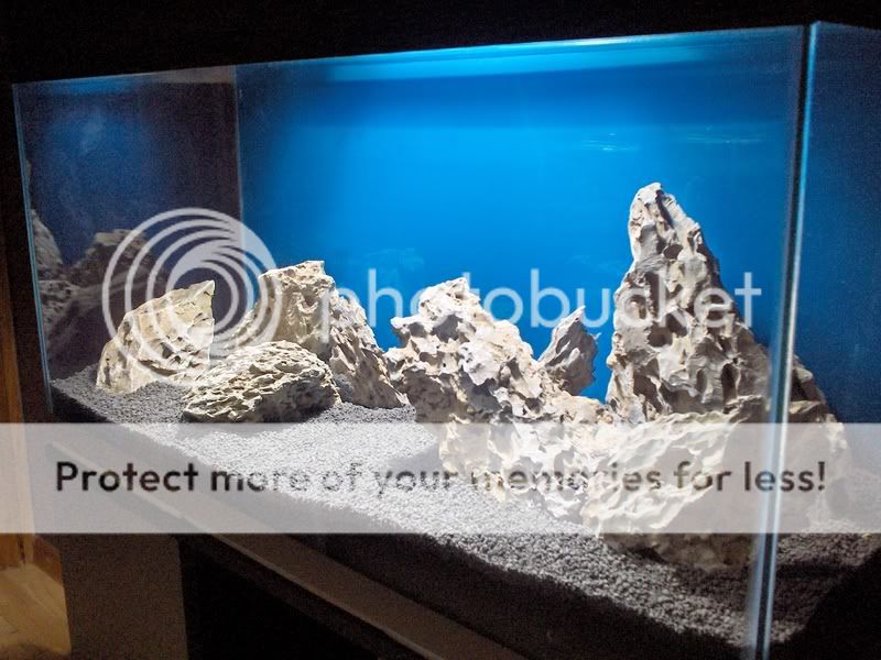 3' planted tank journal | Aquatic Plant Forum